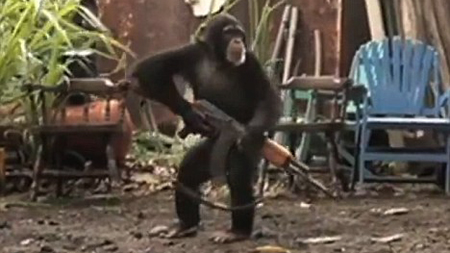 [Video] Un chimpancé de armas tomar - Cooperativa.cl