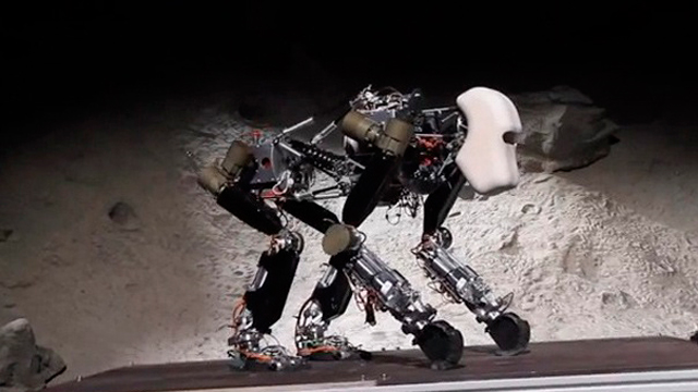 [Video] iStruct, el "robot mono" alemán - Cooperativa.cl