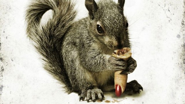 [Fotos] "Ardillas sanguinarias" protagonizarán nueva apuesta de terror ...