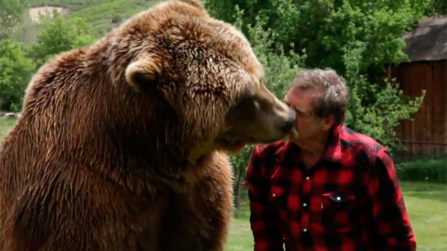 [Video] La increíble amistad entre un gigantesco oso y su entrenador ...