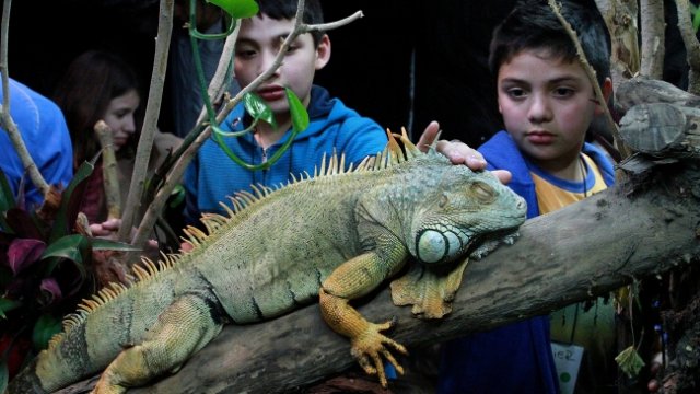 [Fotos] Niños disfrutan sus vacaciones de invierno en Selva Viva ...