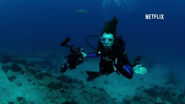 [Video] Revisa el tráiler de "Mission Blue", el documental sobre la ...