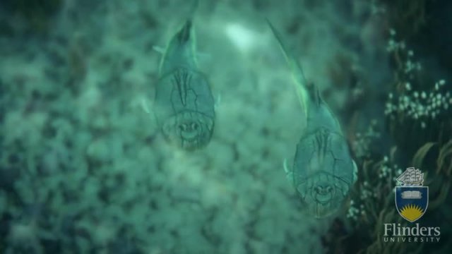 [Video] Los prehistóricos orígenes de la copulación y la fertilización ...