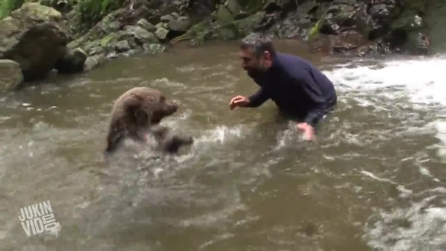 [Video] Explorador se divierte en el agua con gran oso grizzly ...