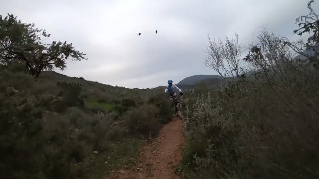[Video] ¡De película!: Enjambre de abejas ataca a un grupo de ciclistas ...
