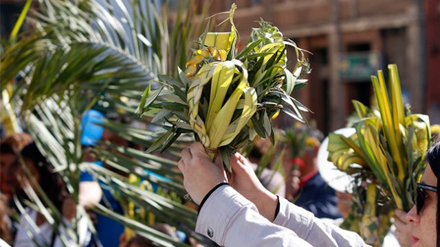 [Fotos] Católicos celebraron el Domingo de Ramos - Cooperativa.cl