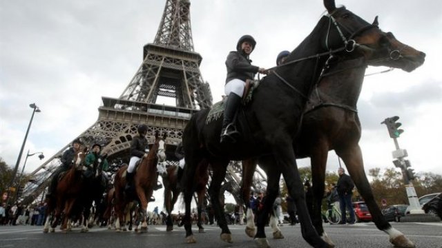 [Fotos] Caballos y jinetes se tomaron París - Cooperativa.cl