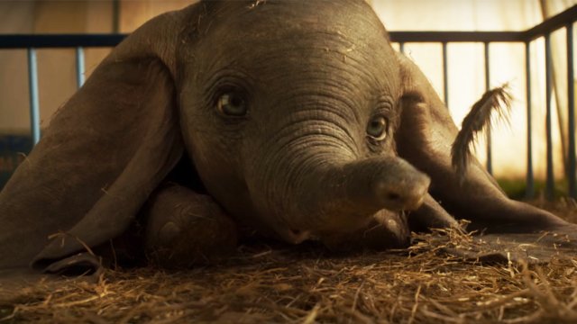 [Video] Este es el primer trailer del remake en acción real de "Dumbo ...