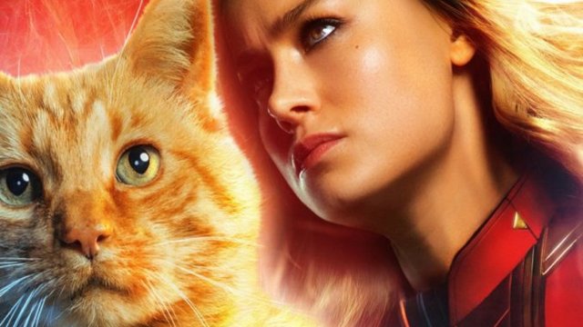 [Fotos] El gato de "Capitana Marvel" tiene su propio póster ...