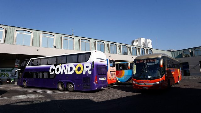 [Audio] ¿En qué debes fijarte a la hora de tomar un bus? - Cooperativa.cl