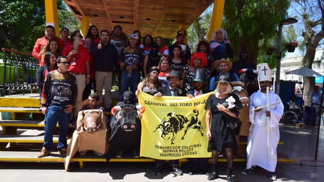 [Video] Invitan al curioso carnaval del Toro Pullay en Tierra Amarilla ...