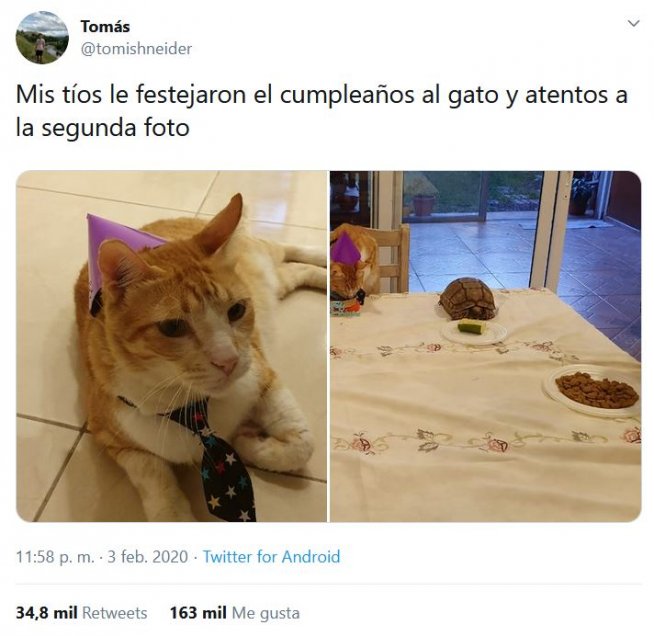 Feliz Cumpleaños Meme Gato Cat Happy Birthday Cake Topper Meow