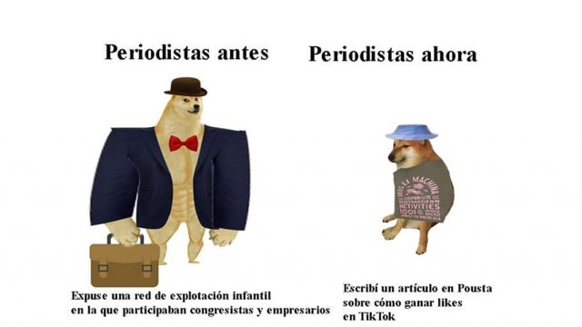 [Fotos] Perro grande, perro chico: El meme del momento que se burla de ...