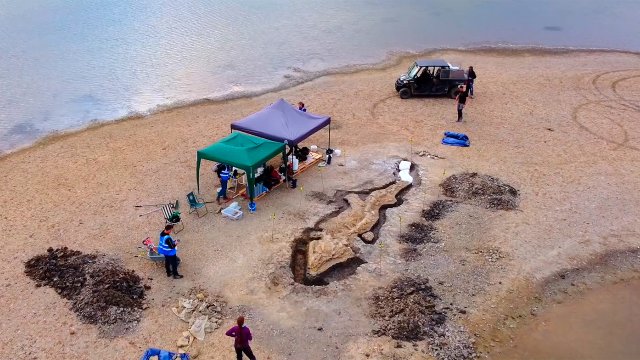 [Video] Asombroso hallazgo: Encuentran enorme fósil de un "dragón ...