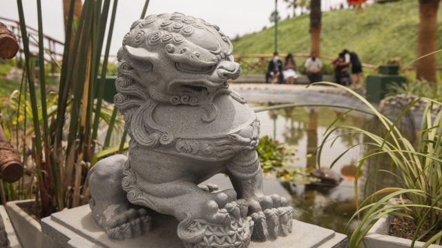 [Video] "Parque chino", el nuevo atractivo turístico en distrito de ...