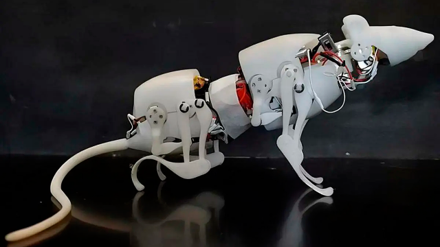 [Video] Investigadores crean rata robot para inspeccionar lugares de ...