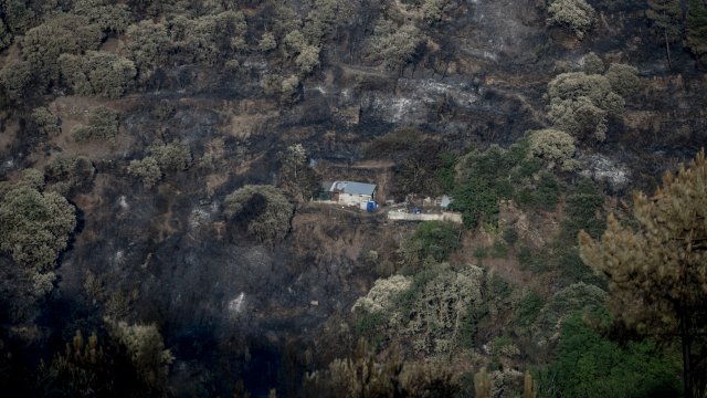 [Fotos] Incendios forestales en Galicia han quemado casi 30.000 ...