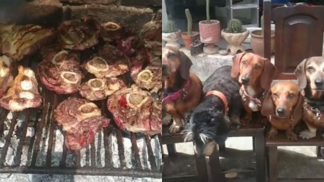 [Video] Exceso de ternura: Hizo un asado para celebrar el cumpleaños de ...