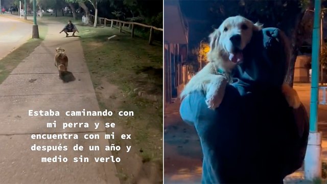 Video Se Encontró Con Su Ex En La Calle Y La Reacción De Su Perrita 2306