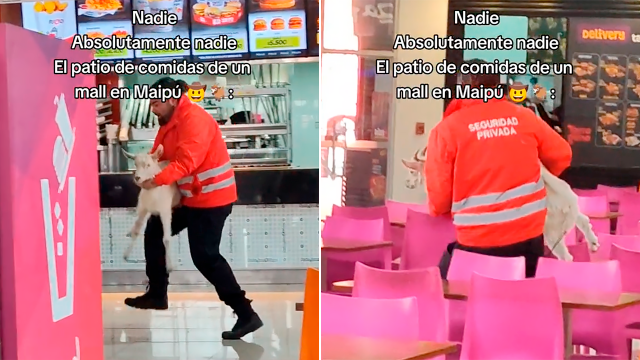 [Video] Tierna cabrita se coló en un patio de comidas en Maipú ...