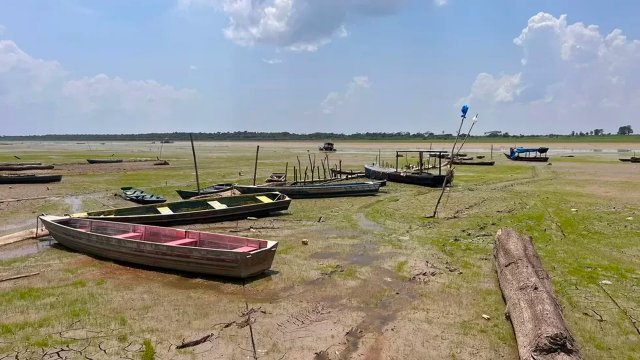 [Video] Sequía extrema en el Amazonas hizo que un lago desapareciera ...
