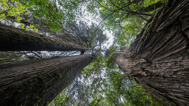 [Video] Motuo, el paraíso tibetano conocido como el "hogar del mundo ...