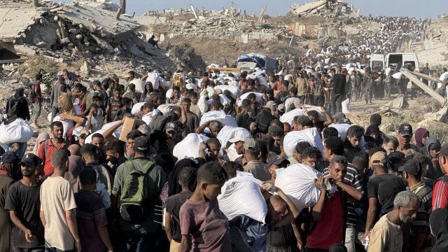 [Video] La lucha por harina "empapada de sangre" en Gaza - Cooperativa.cl