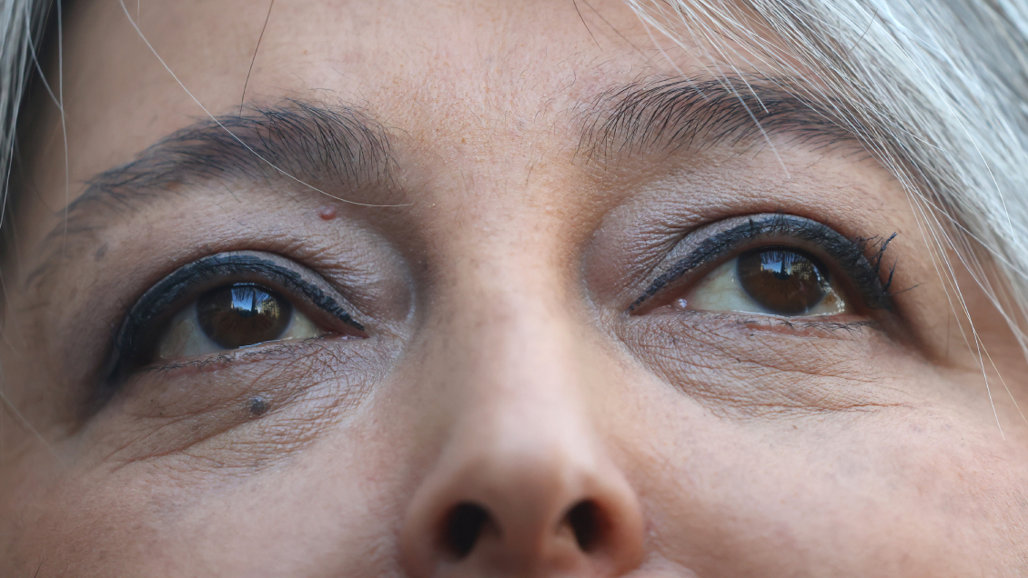 "Cuba claramente no es una democracia": SD celebra salto de Jara, PC guarda silencio ...