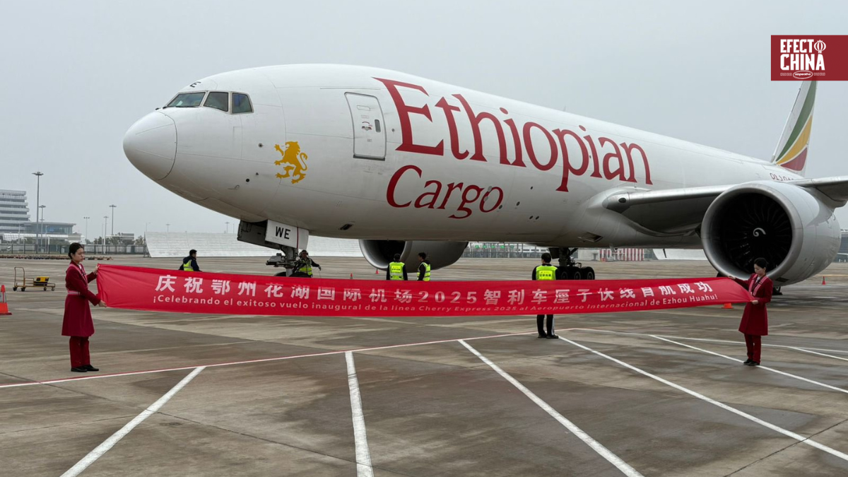 Cherry Express 2025: primer vuelo de cerezas chilenas llega al corazón ...